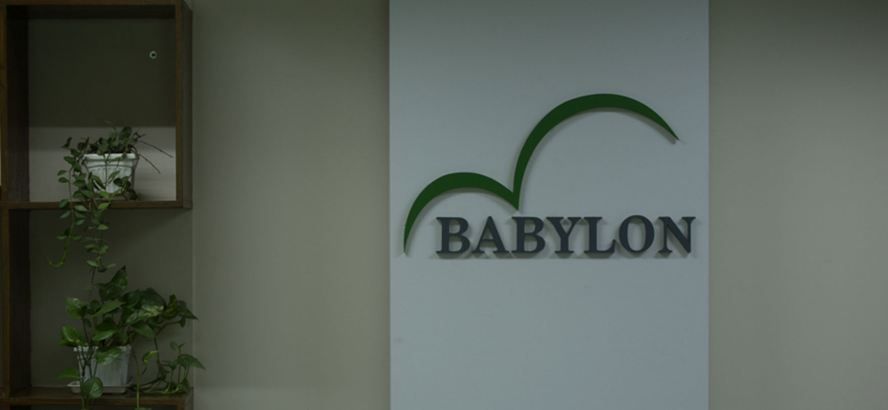 Career - Babylon Group