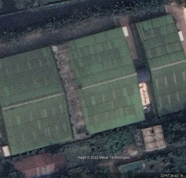 Sustainability - Babylon Group